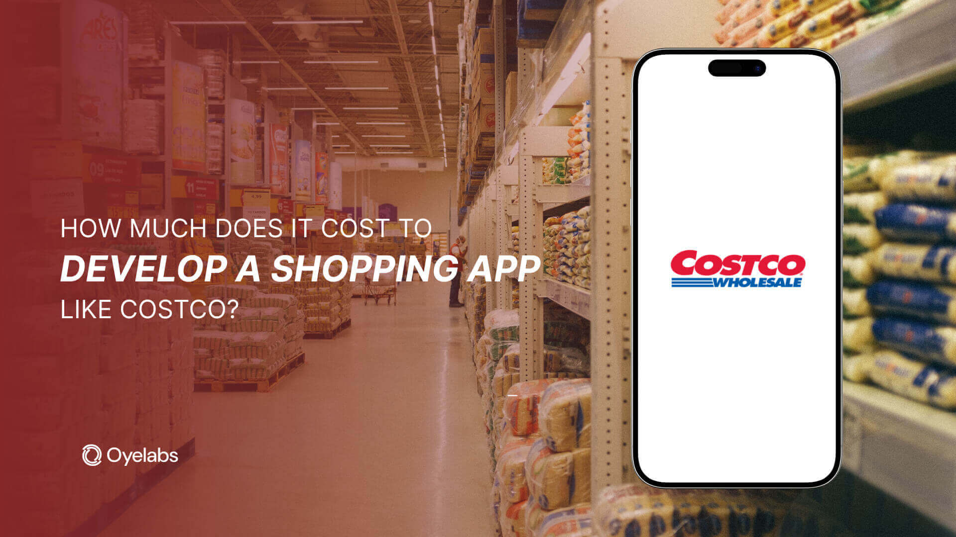 How Much Does It Cost to Develop a Shopping App Like Costco?